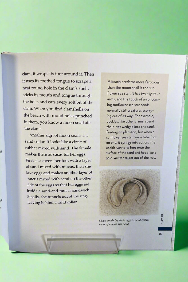 Curious Kids Nature Guide Outdoors Hike Learn Adventure Bugs Animals – Spot