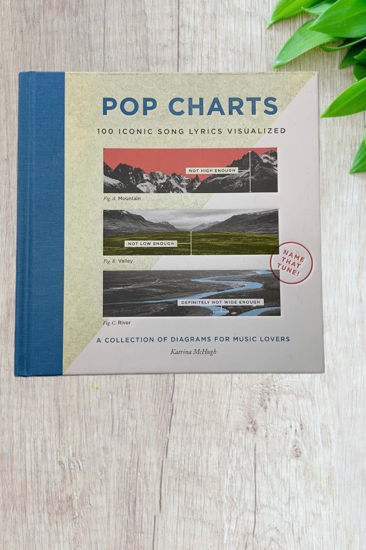 Pop Charts: 100 Iconic Song Lyrics Visualized Design Music Art Book – Spot